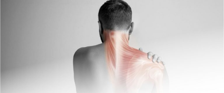 ¿Cómo aliviar los dolores musculares post ejercicios? - PhytoPharma