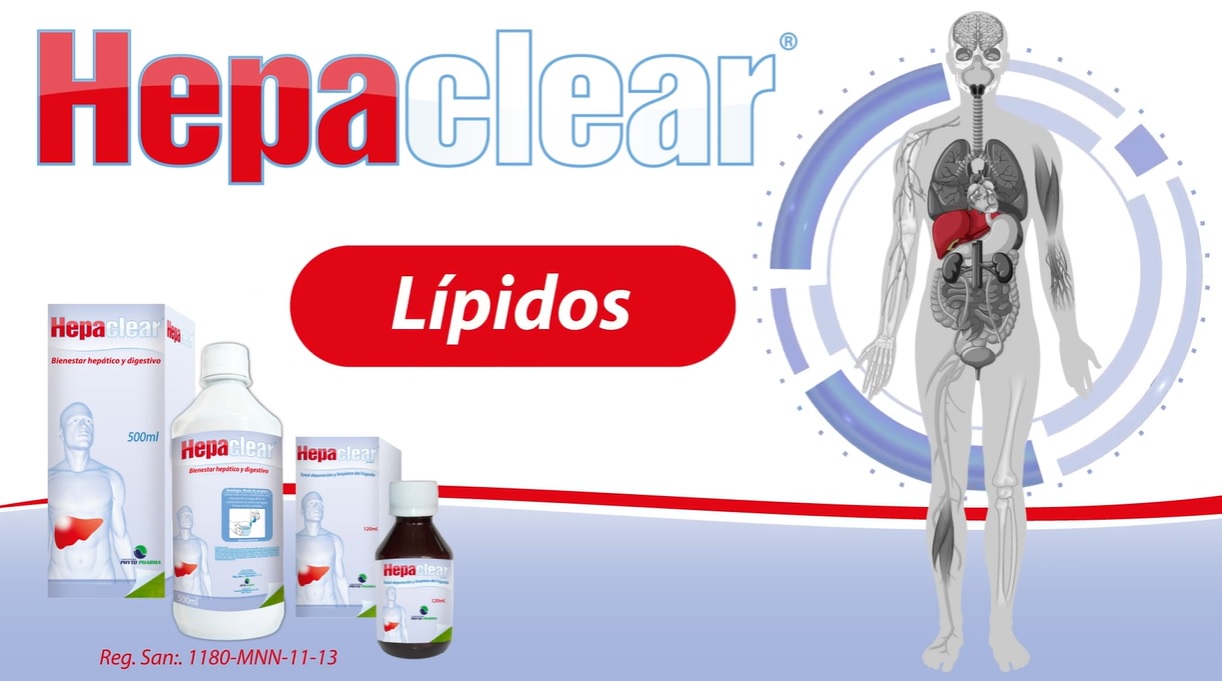 Hepaclear Concentrado - PhytoPharma